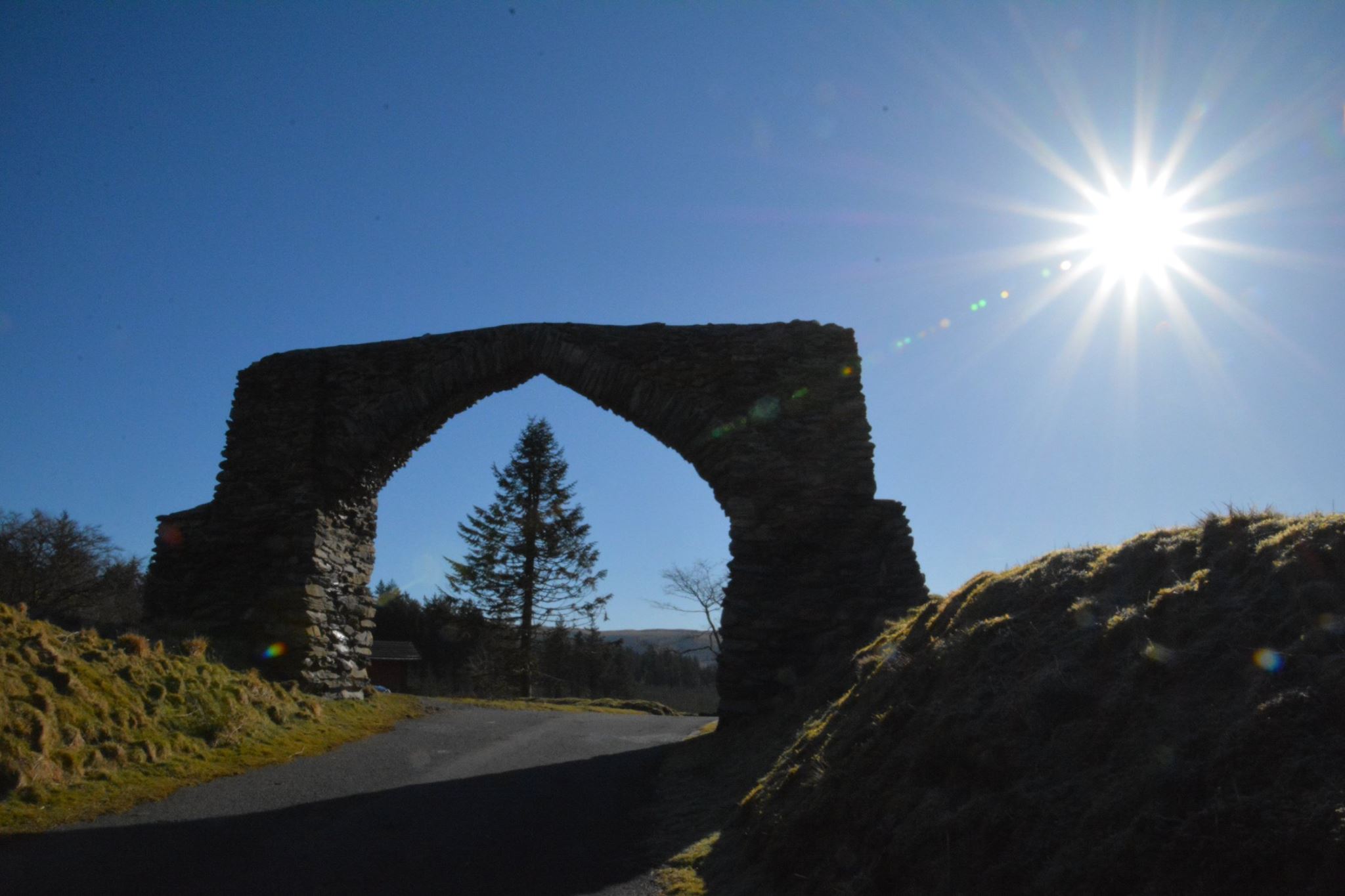 Frolicking in the Cambrian Mountains with your pet - The Falcondale